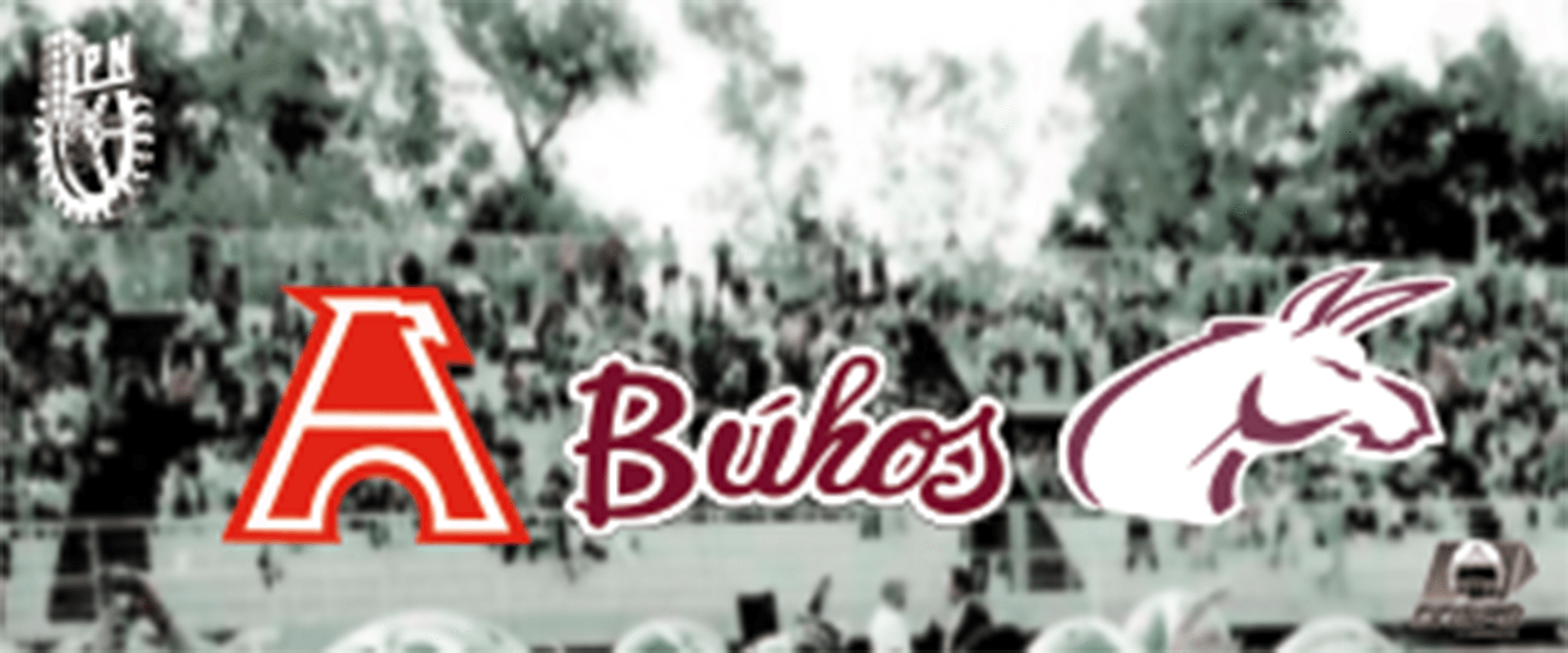 AGUILAS BLANCAS IPN VS BURROS BLANCOS