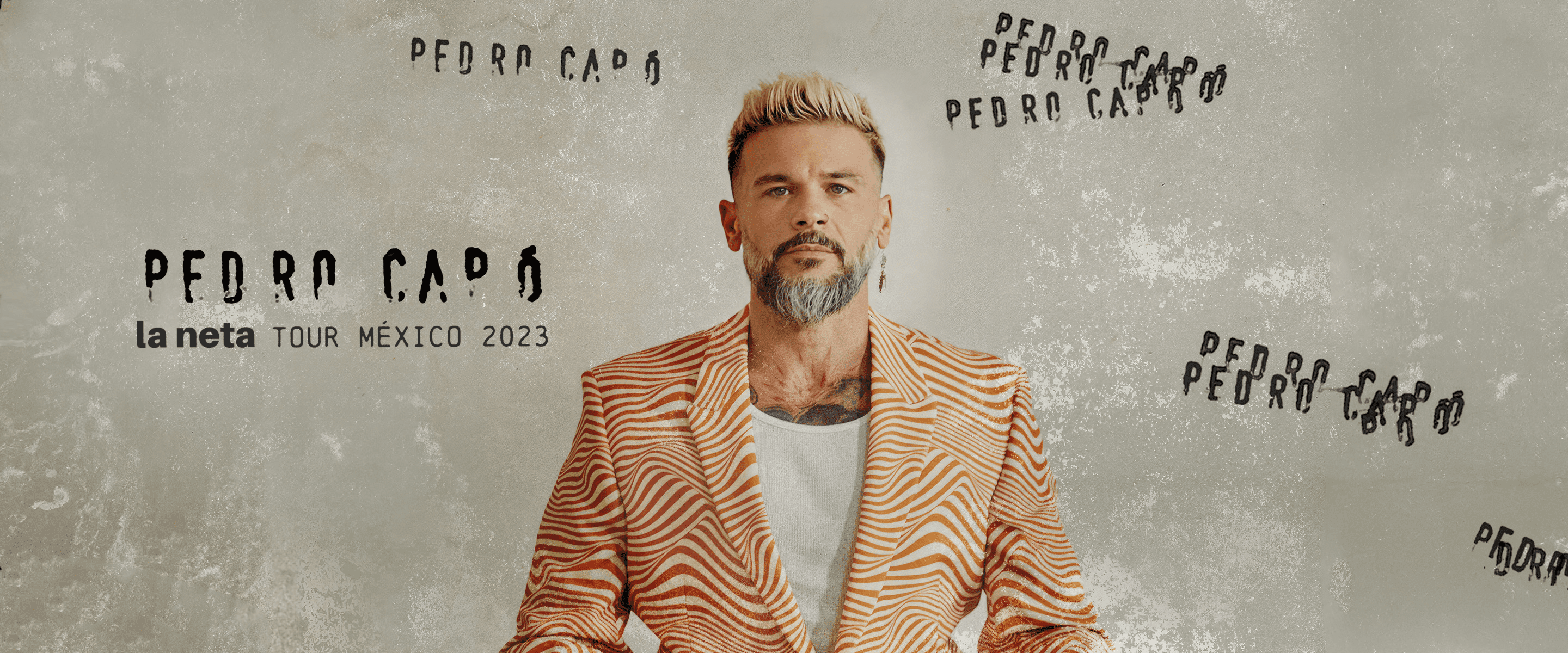PEDRO CAPO EN CONCIERTO