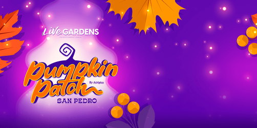 PUMPKIN PATCH SAN PEDRO SUPERBOLETOS. No hagas filas, compra en línea